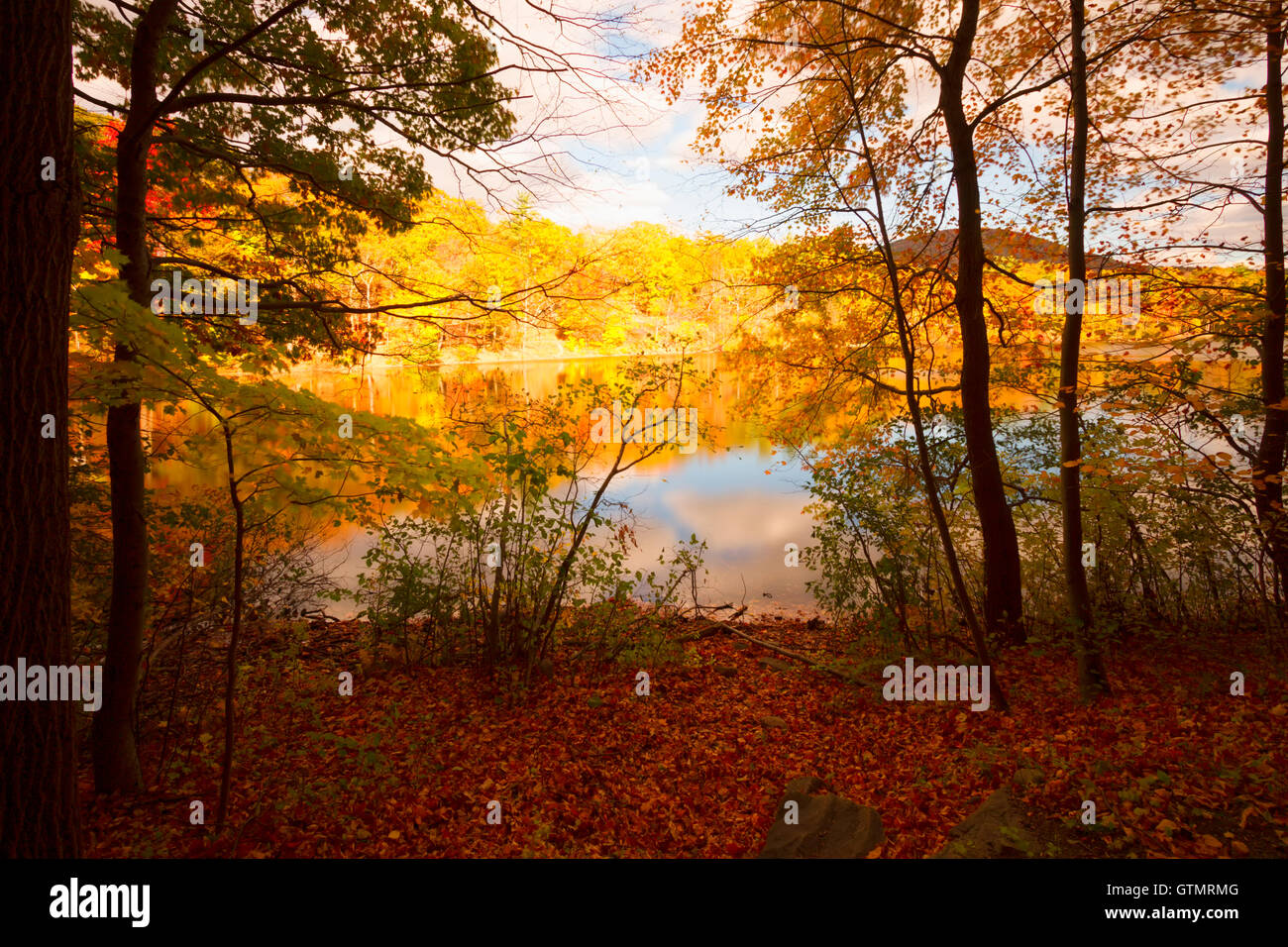 Fall landscape with the forest lake at sunset Stock Photo - Alamy