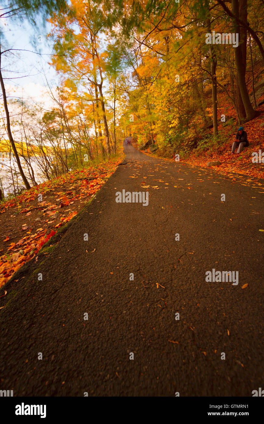 Colorful fall scenery Stock Photo - Alamy