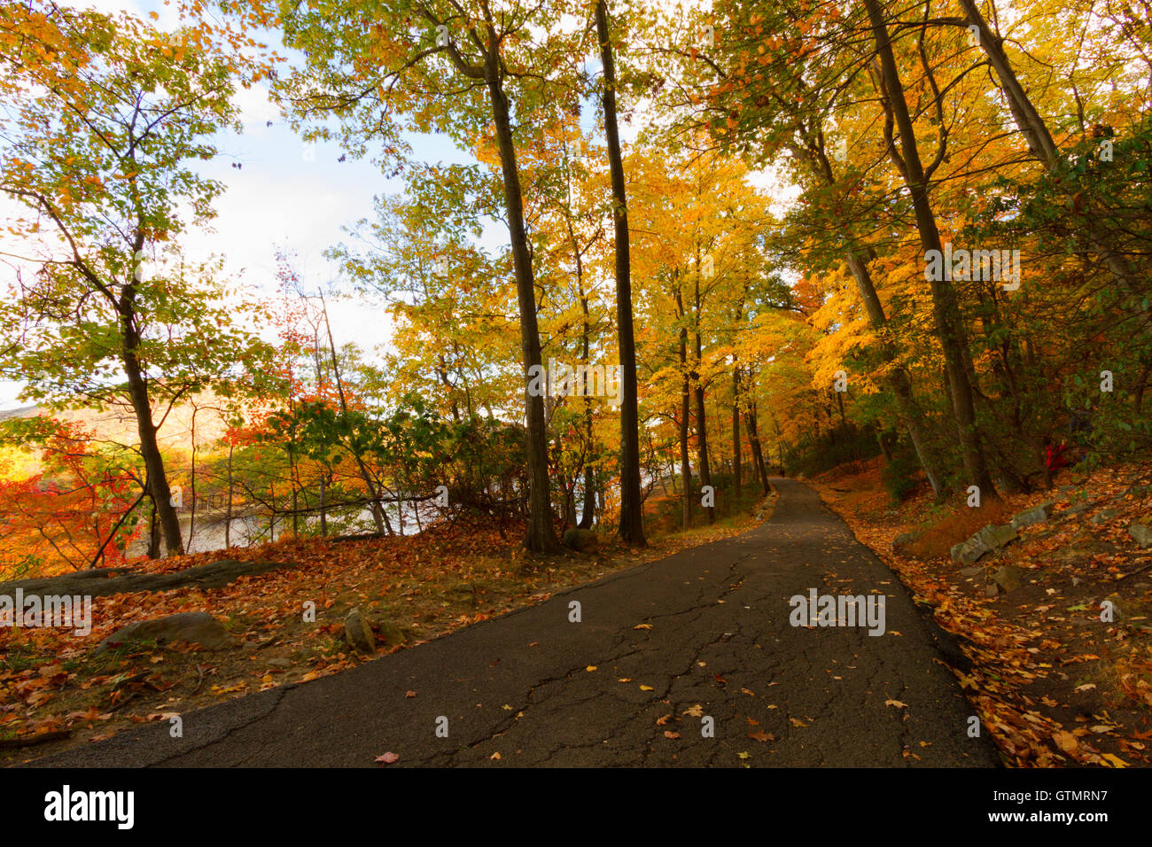 Colorful fall scenery Stock Photo - Alamy