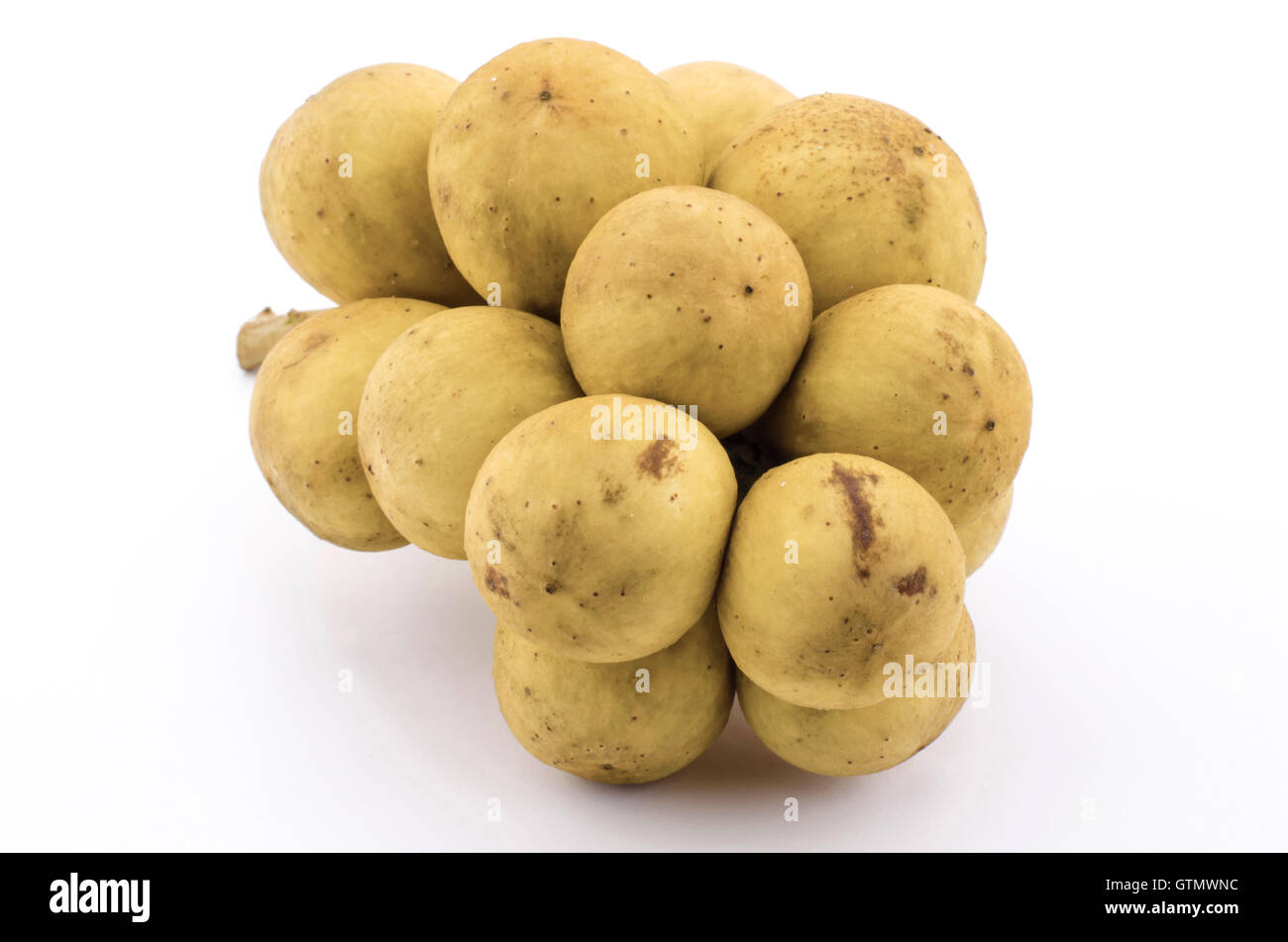 Domesticum hi-res stock photography and images - Alamy