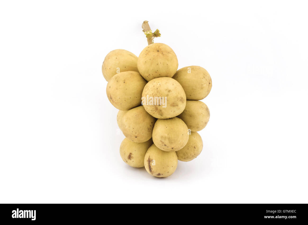 Lansium domesticum langsat hi-res stock photography and images - Alamy