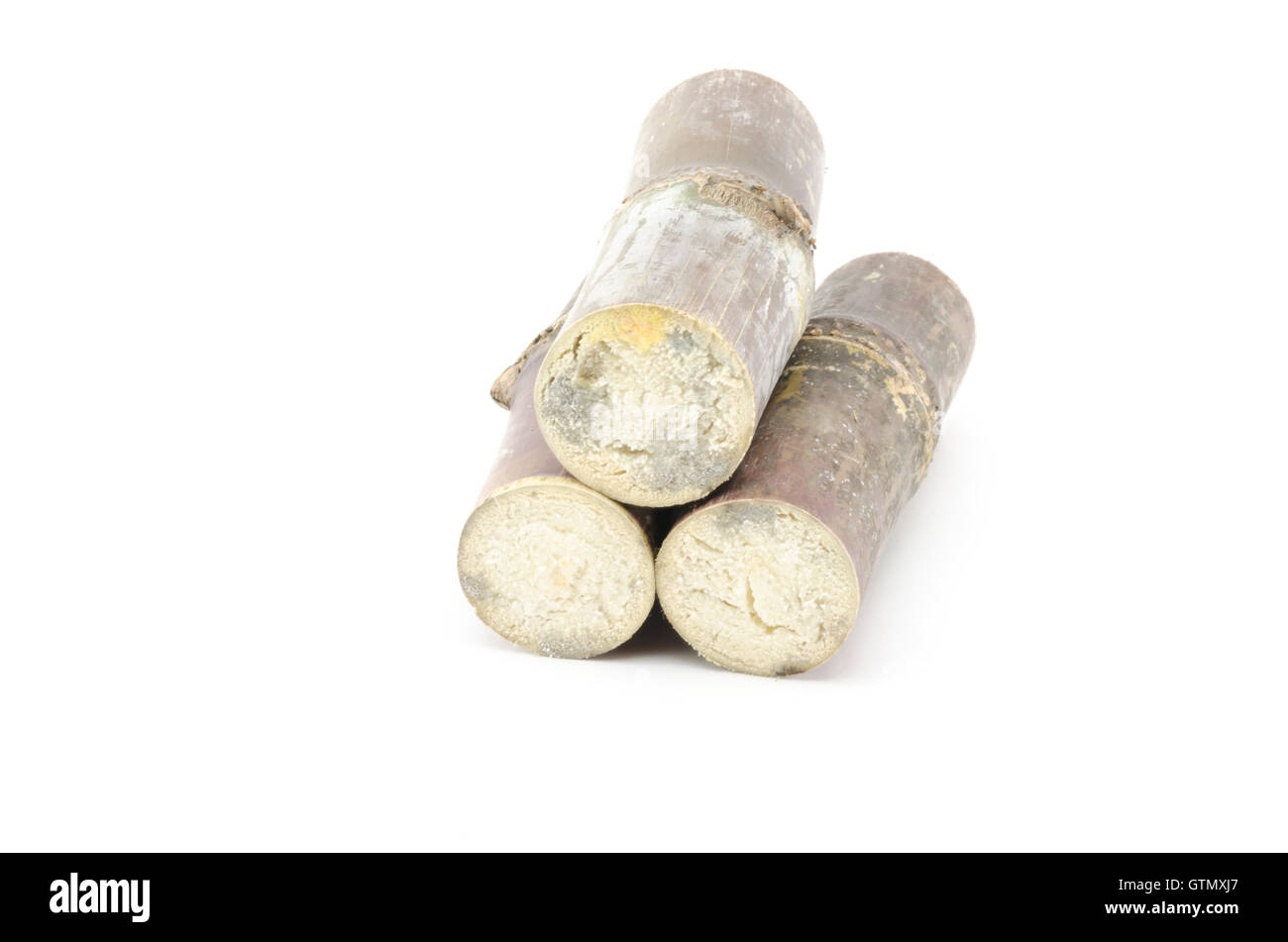 three sugar canes isolated on white Stock Photo - Alamy