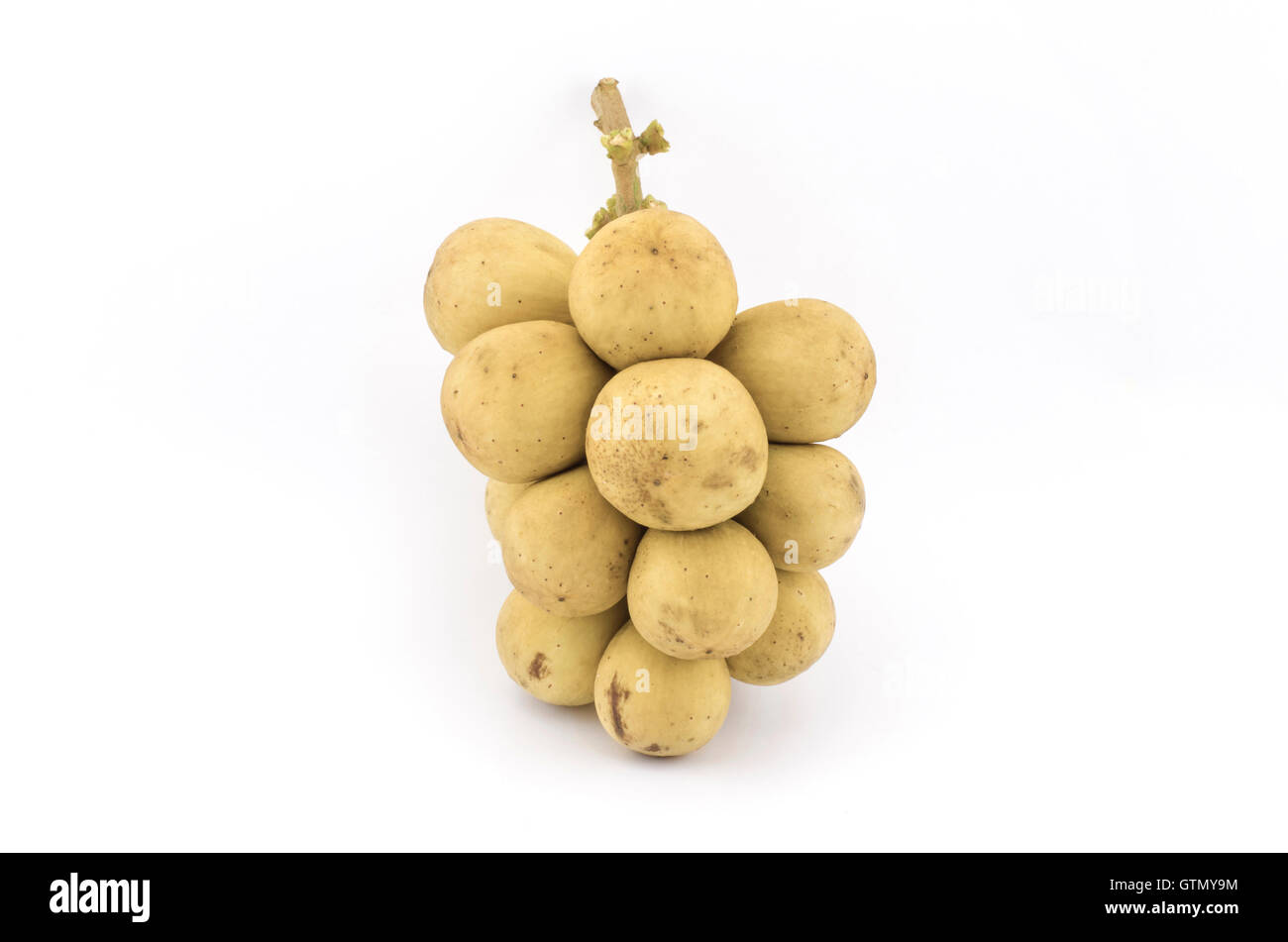 Lansium domesticum isolated on white Stock Photo - Alamy