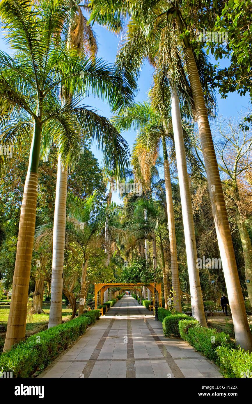 Aswan botanical garden hi-res stock photography and images - Alamy