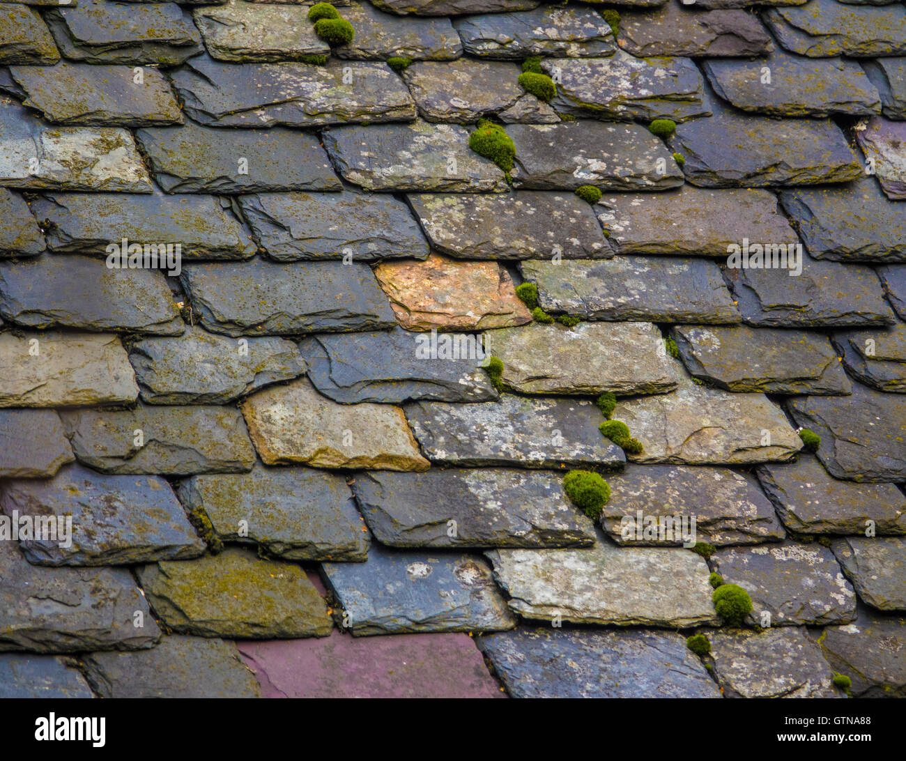 Slate roof tiles hi-res stock photography and images - Alamy
