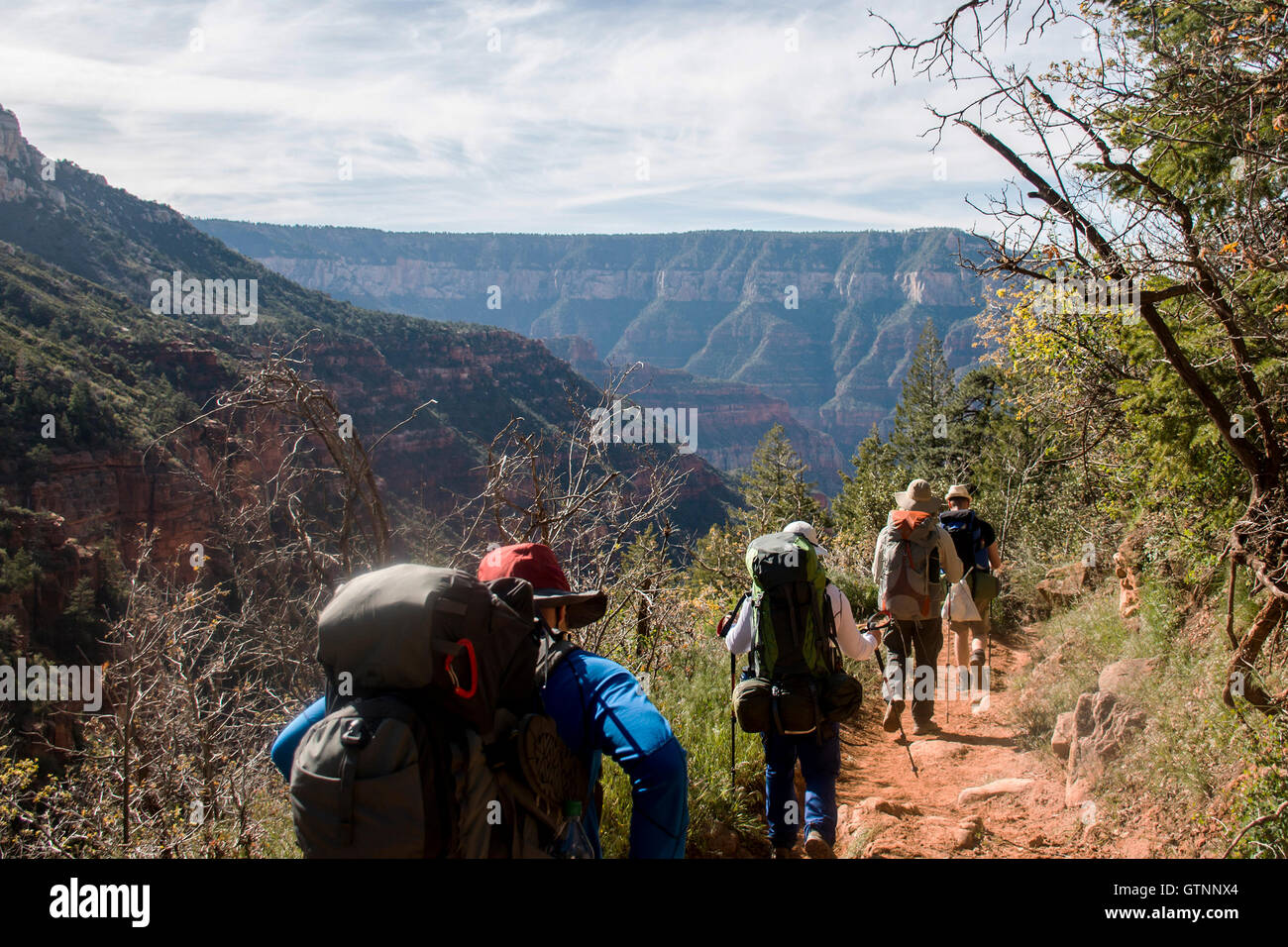 Grand Canyon National Park USA North rim hiking 2 Stock Photo - Alamy