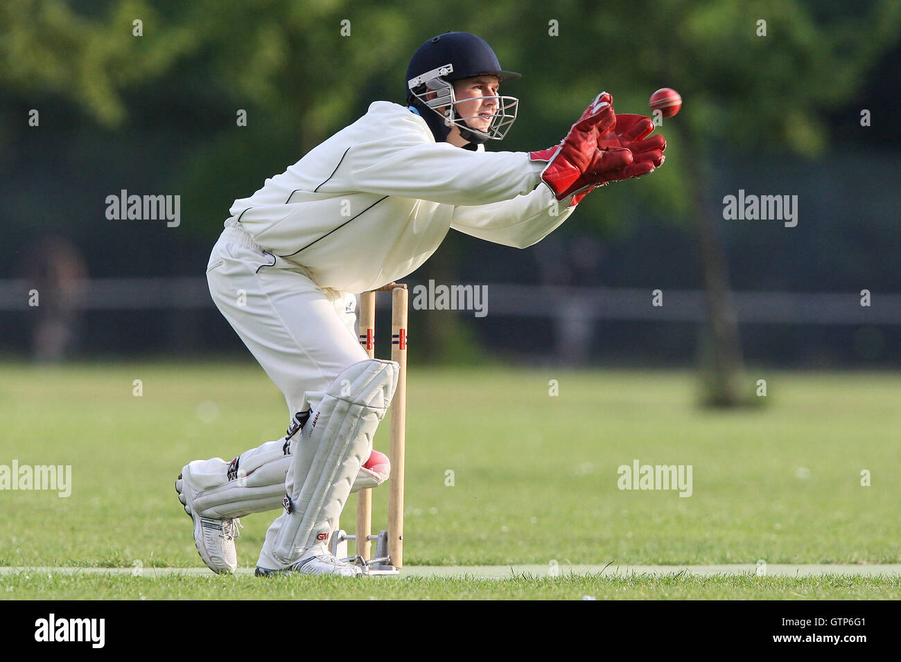 Pacific island cricket hi-res stock photography and images - Alamy