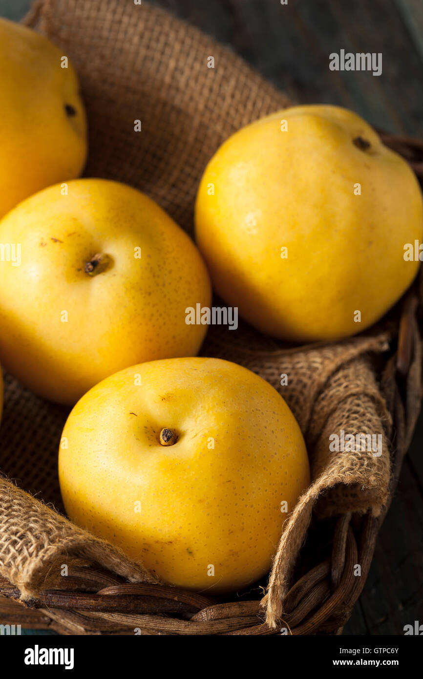 Raw Organic Yellow Asian Apple Pears Ready to Eat Stock Photo - Alamy