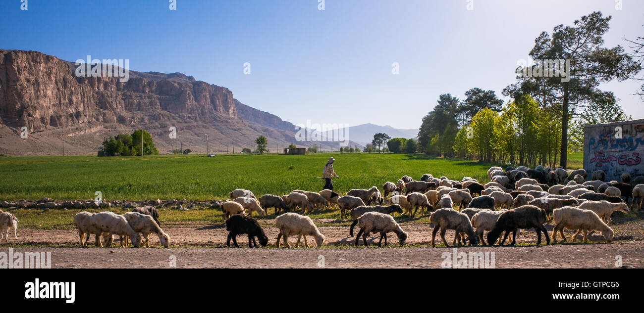 Iranian rural shepherd iran hi-res stock photography and images - Alamy