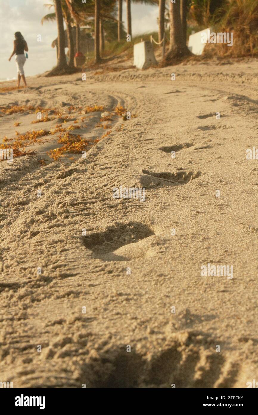 Single footprints hi-res stock photography and images - Alamy