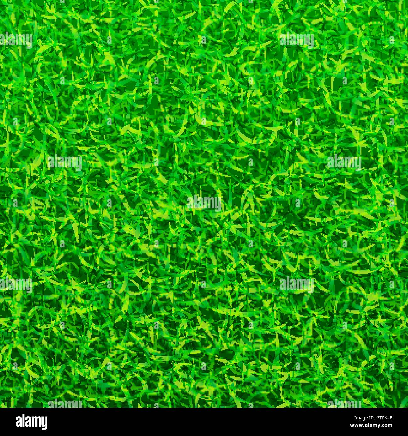 Green color grass vector background. Fresh spring lawn vector ...