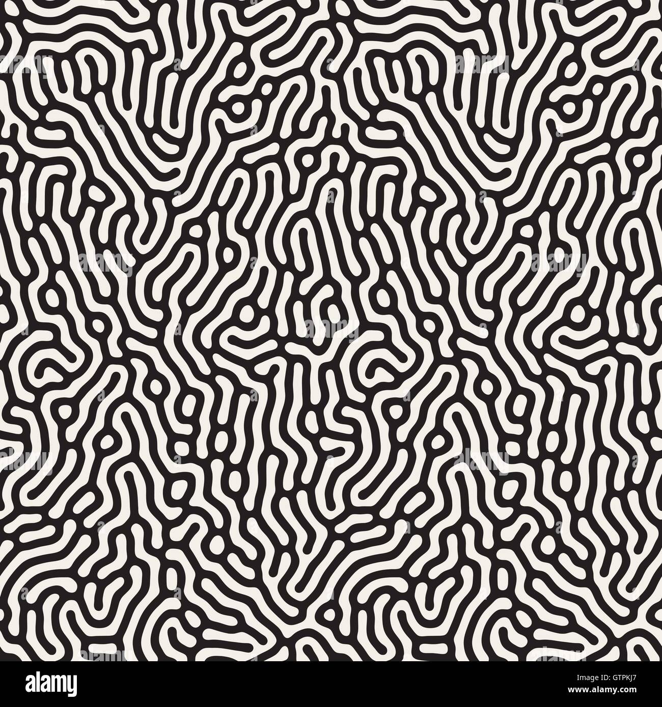 Vector Seamless Black and White Organic Lines Pattern Stock Vector ...