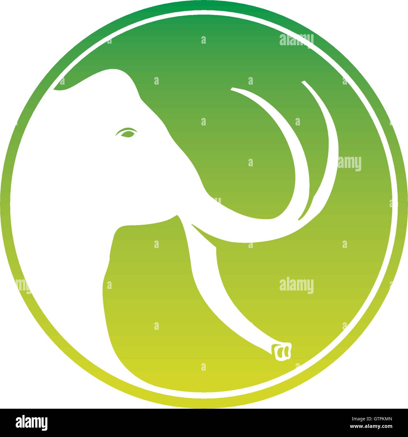 Isolated elephant head vector logo. Round animal image on green coin ...