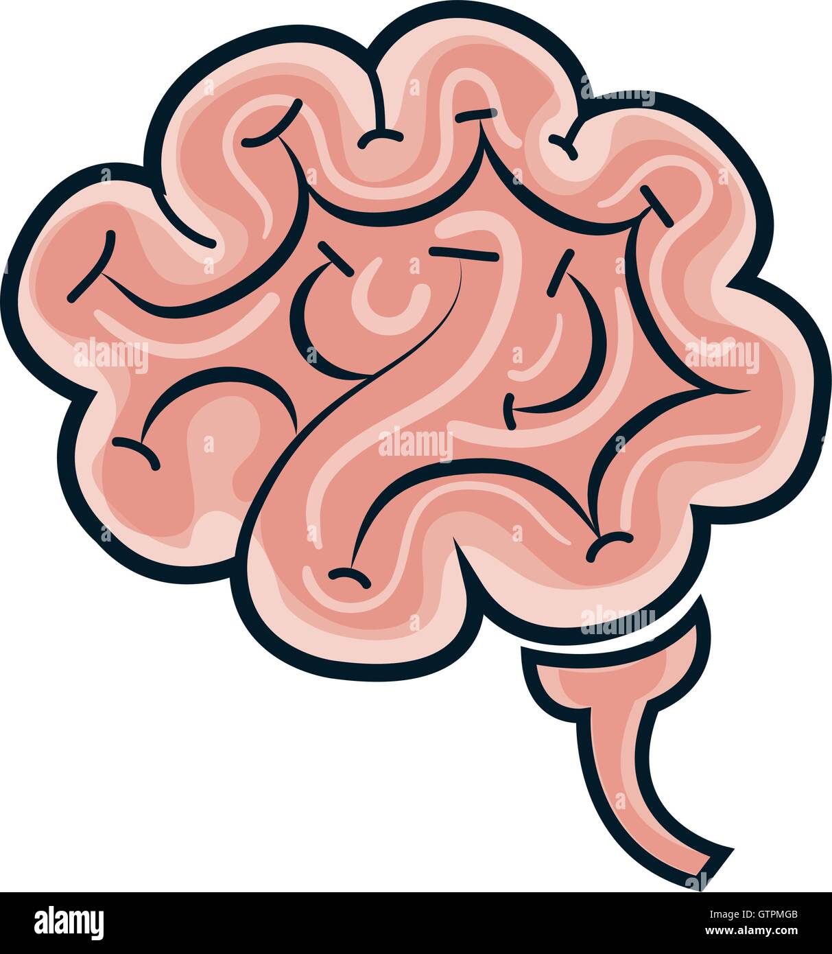 human brain organ Stock Vector Image & Art - Alamy