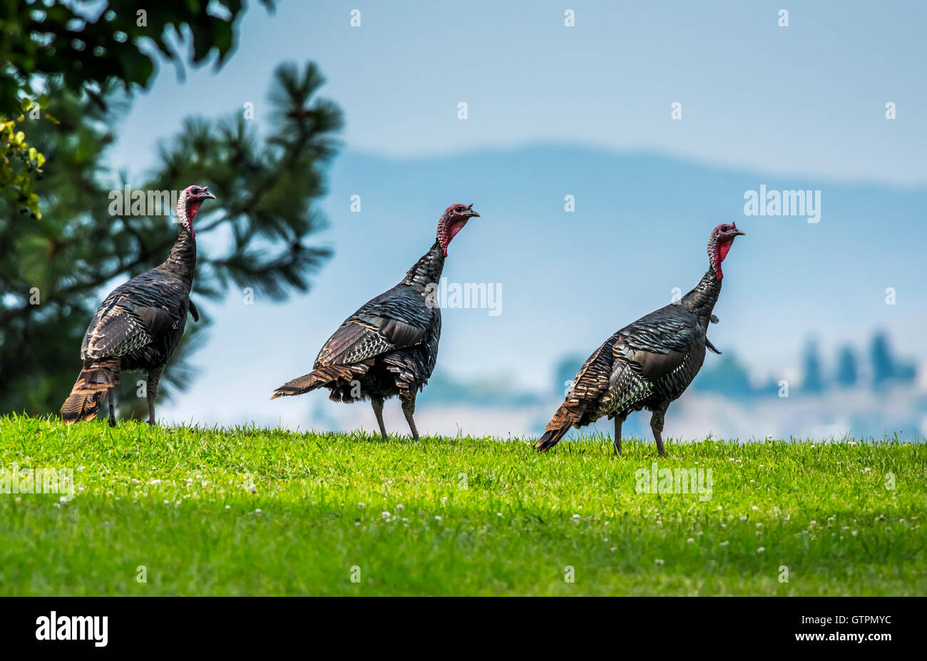 Eye on the horizon hi-res stock photography and images - Alamy