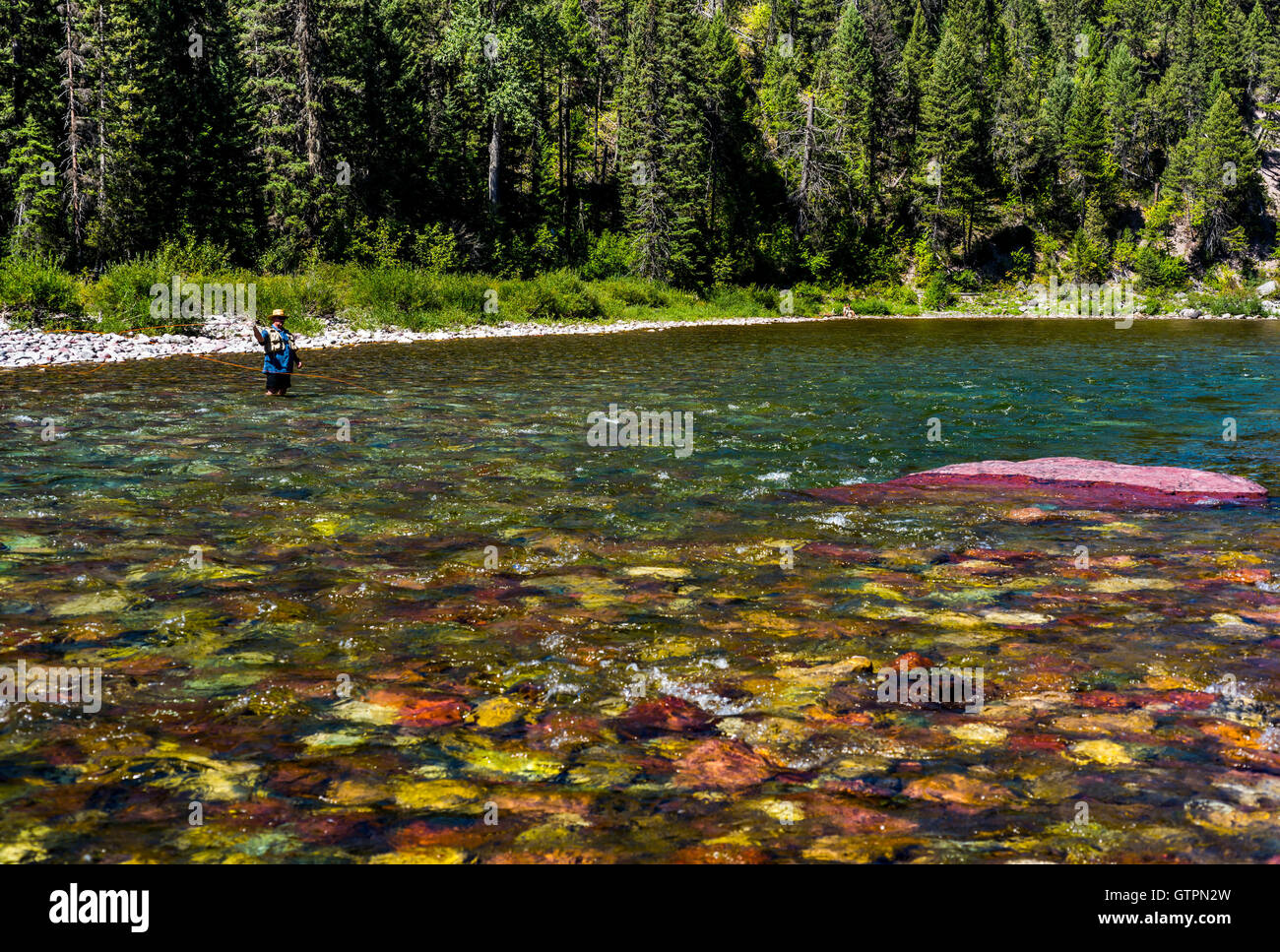 Fishing the South Fork of the Flathead River on a beautiful sunny blue ...