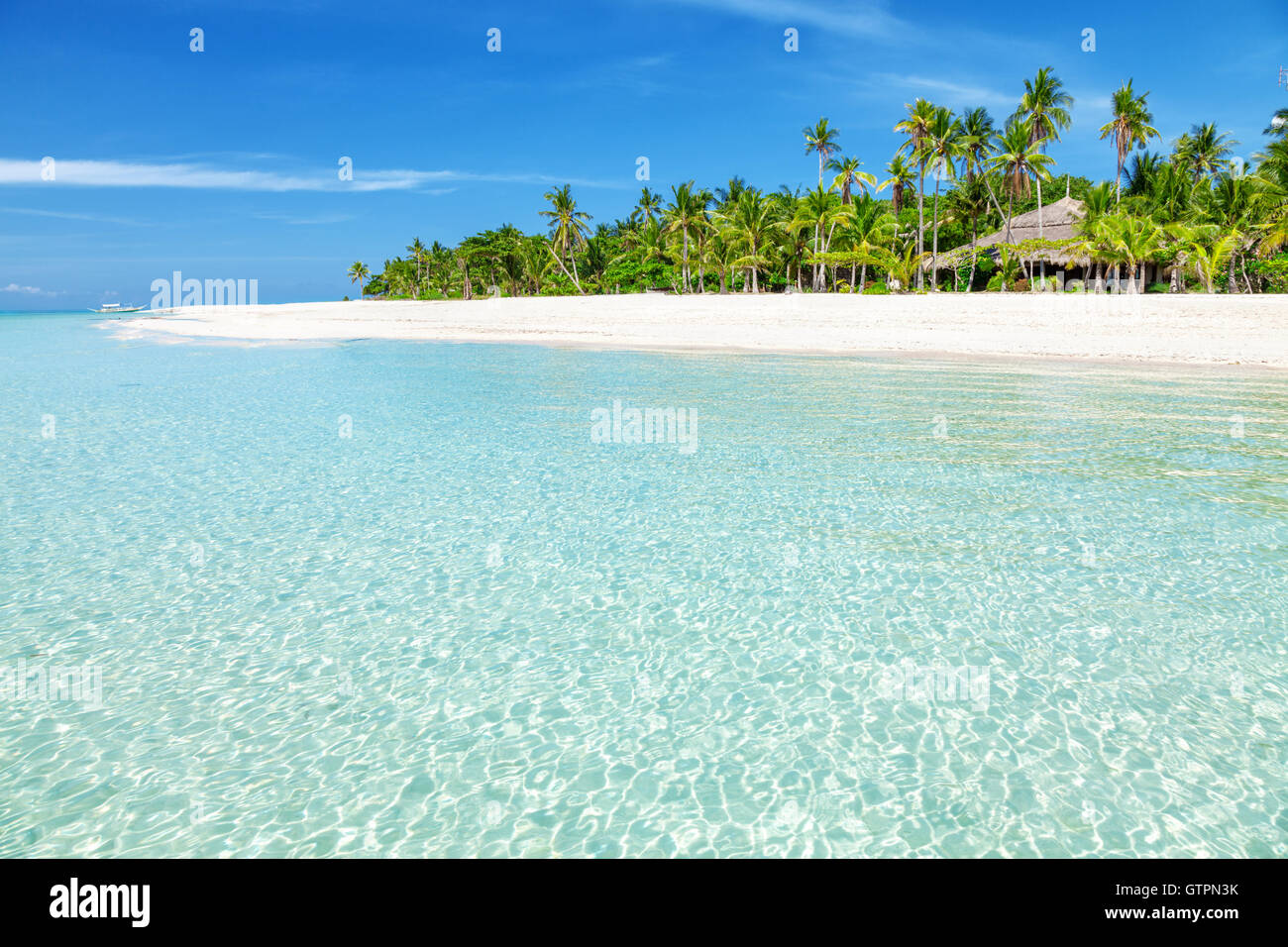 Fantastic turquoise beach with palm trees and white sand in the ...