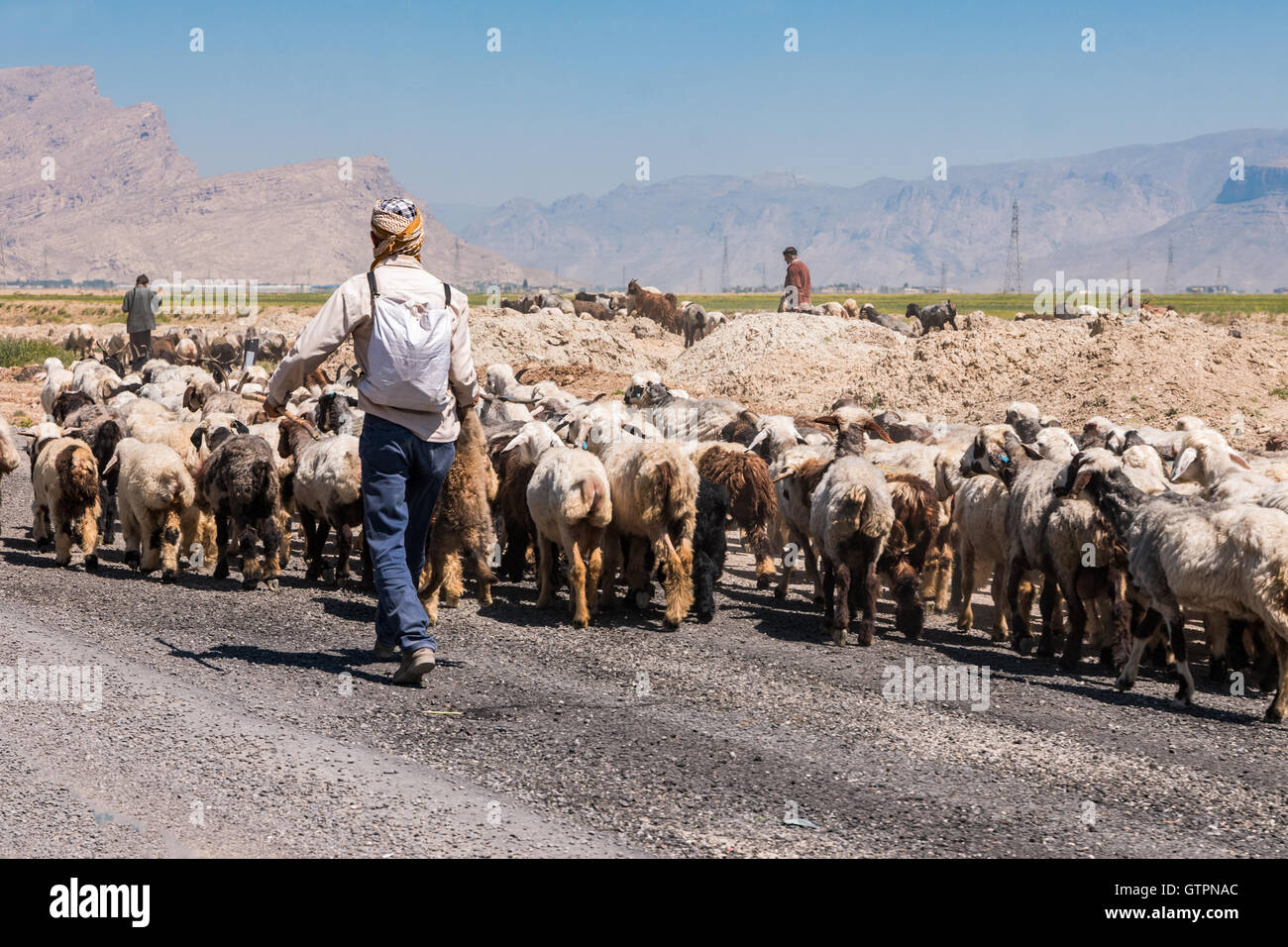Iranian rural shepherd iran hi-res stock photography and images - Alamy