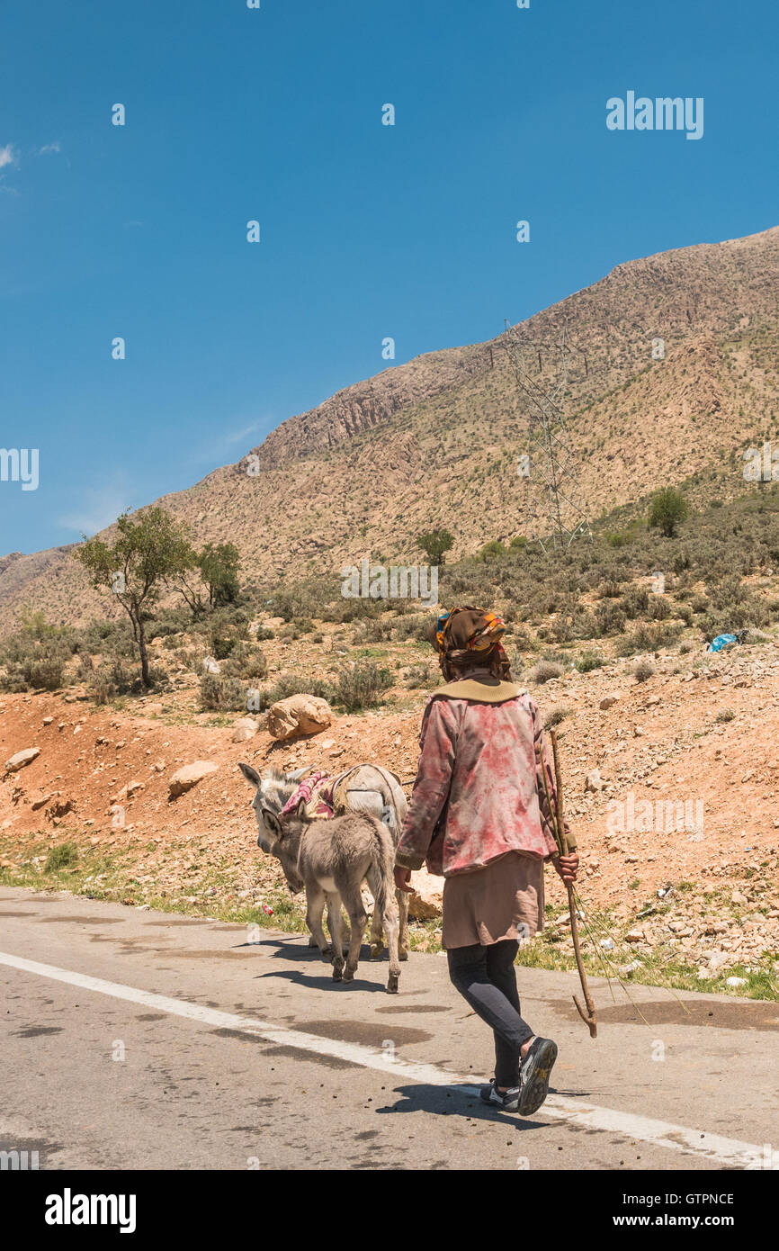 Qashqai nomadic shepherds herd their sheep in Fars Province, Iran Stock ...