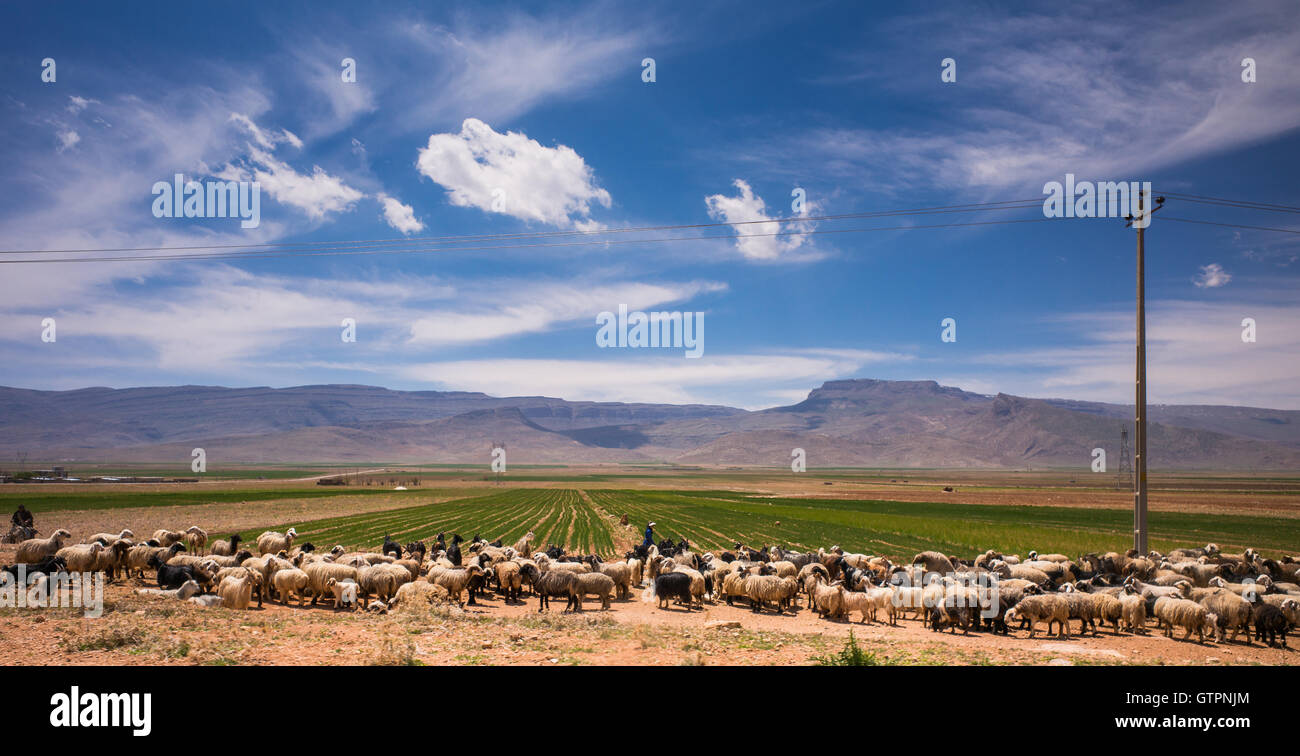 Nomadic shepherds hi-res stock photography and images - Alamy