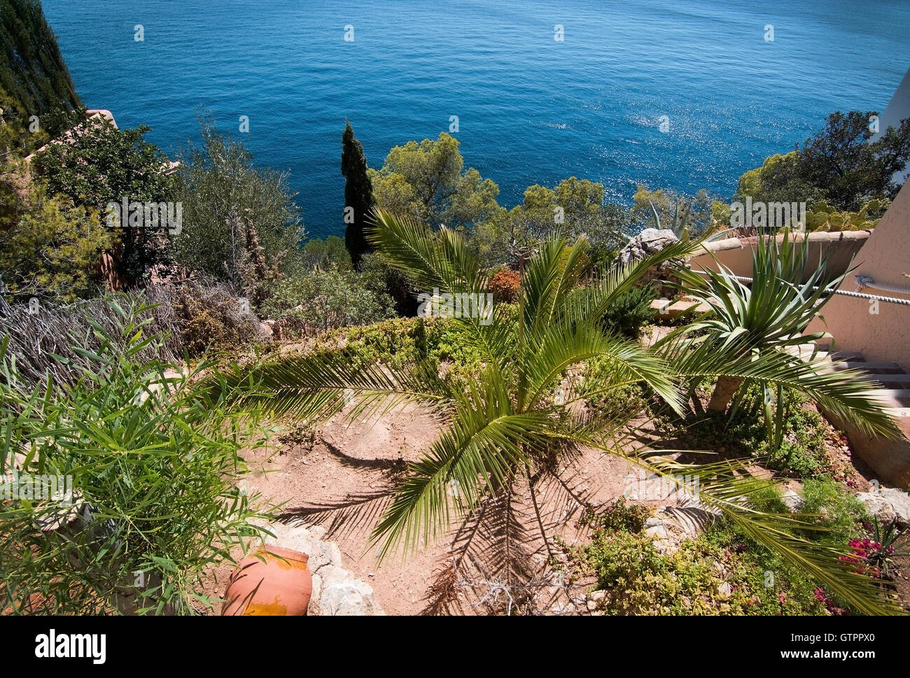 Lush Mediterranean vegetation and marine blue in Mallorca, Spain Stock ...