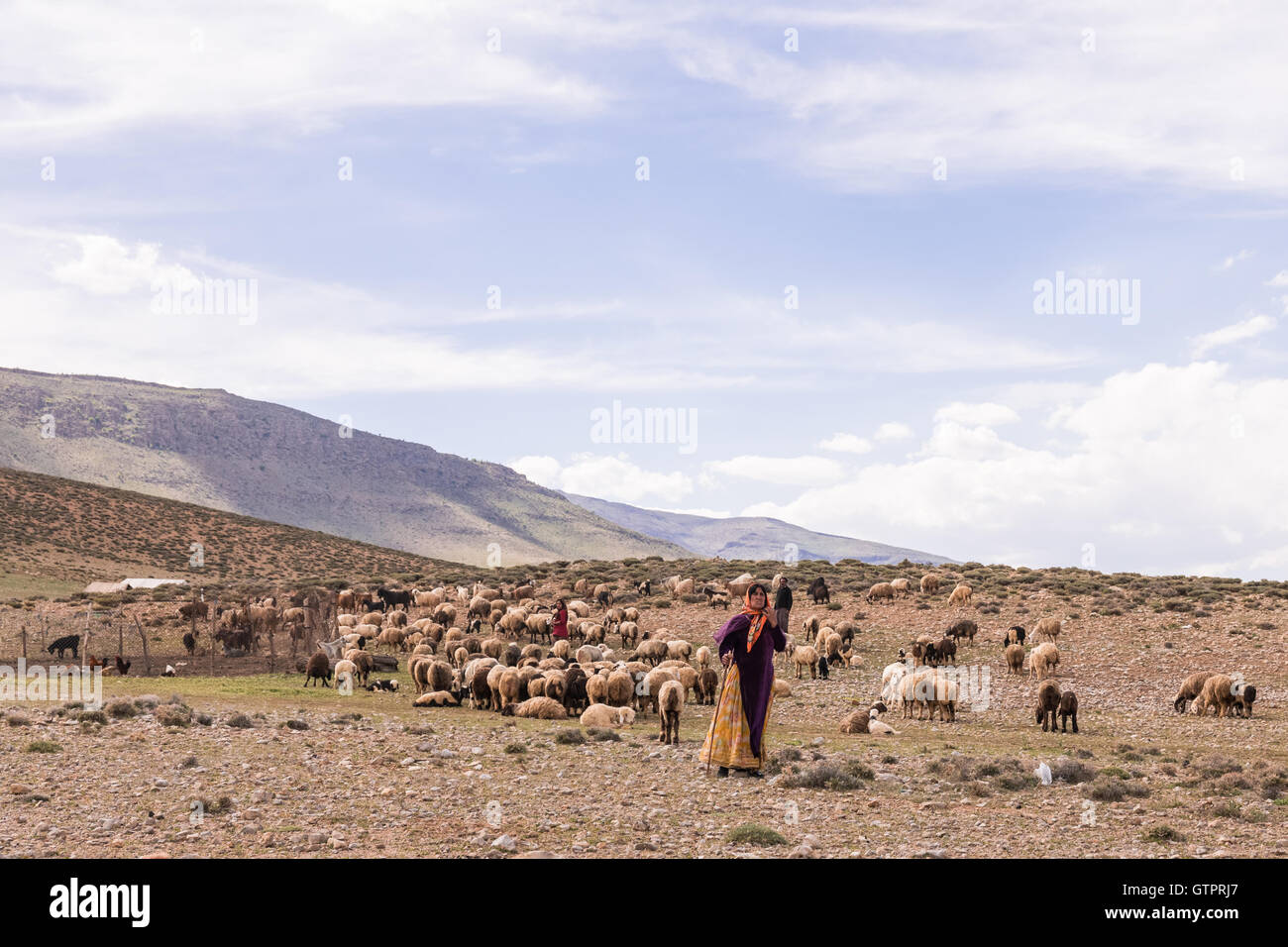 Khoram Gol, nomadic Basseri woman greets a visitor bringing gifts. The ...