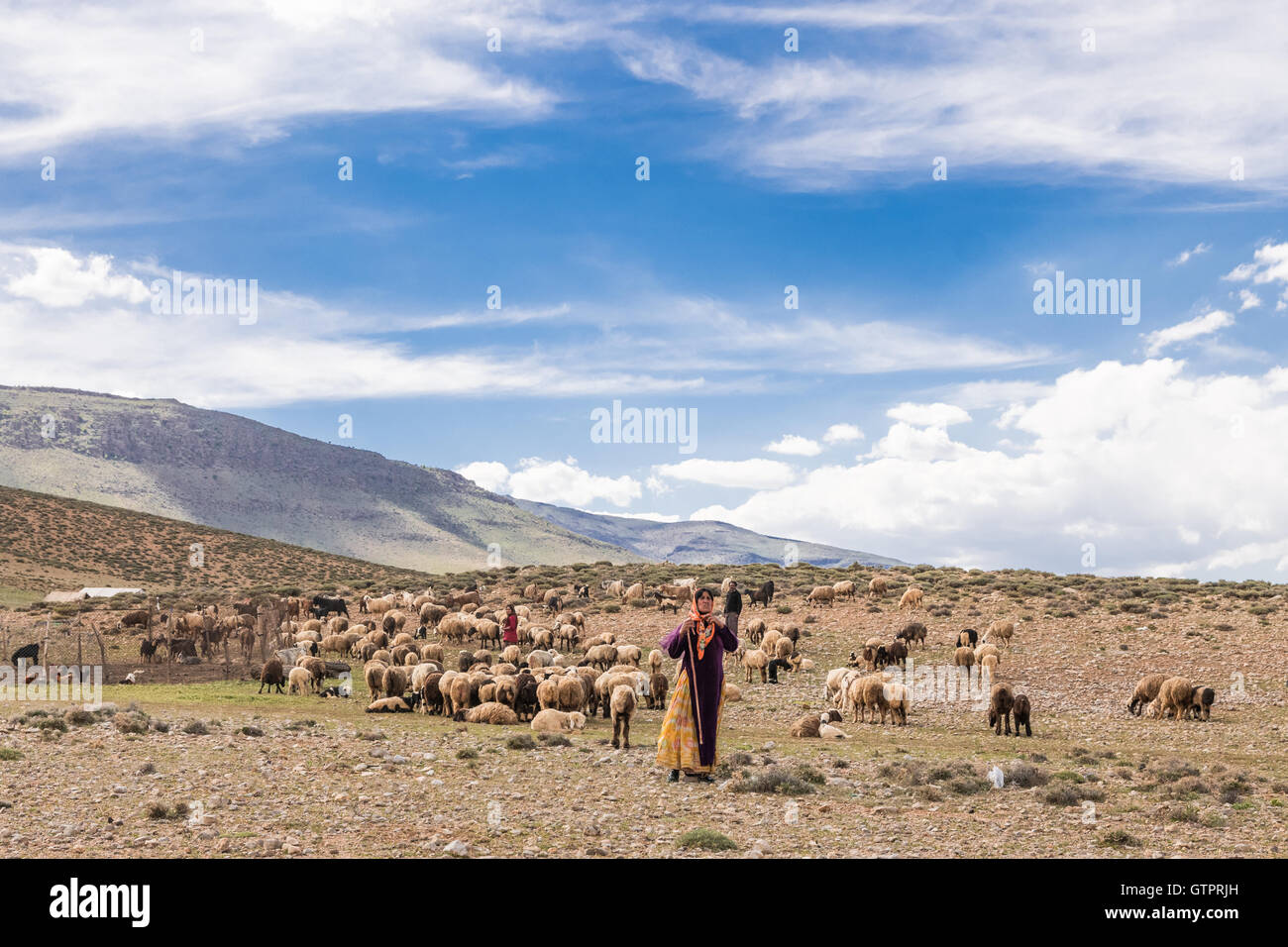 Khoram Gol, nomadic Basseri woman greets a visitor bringing gifts. The ...