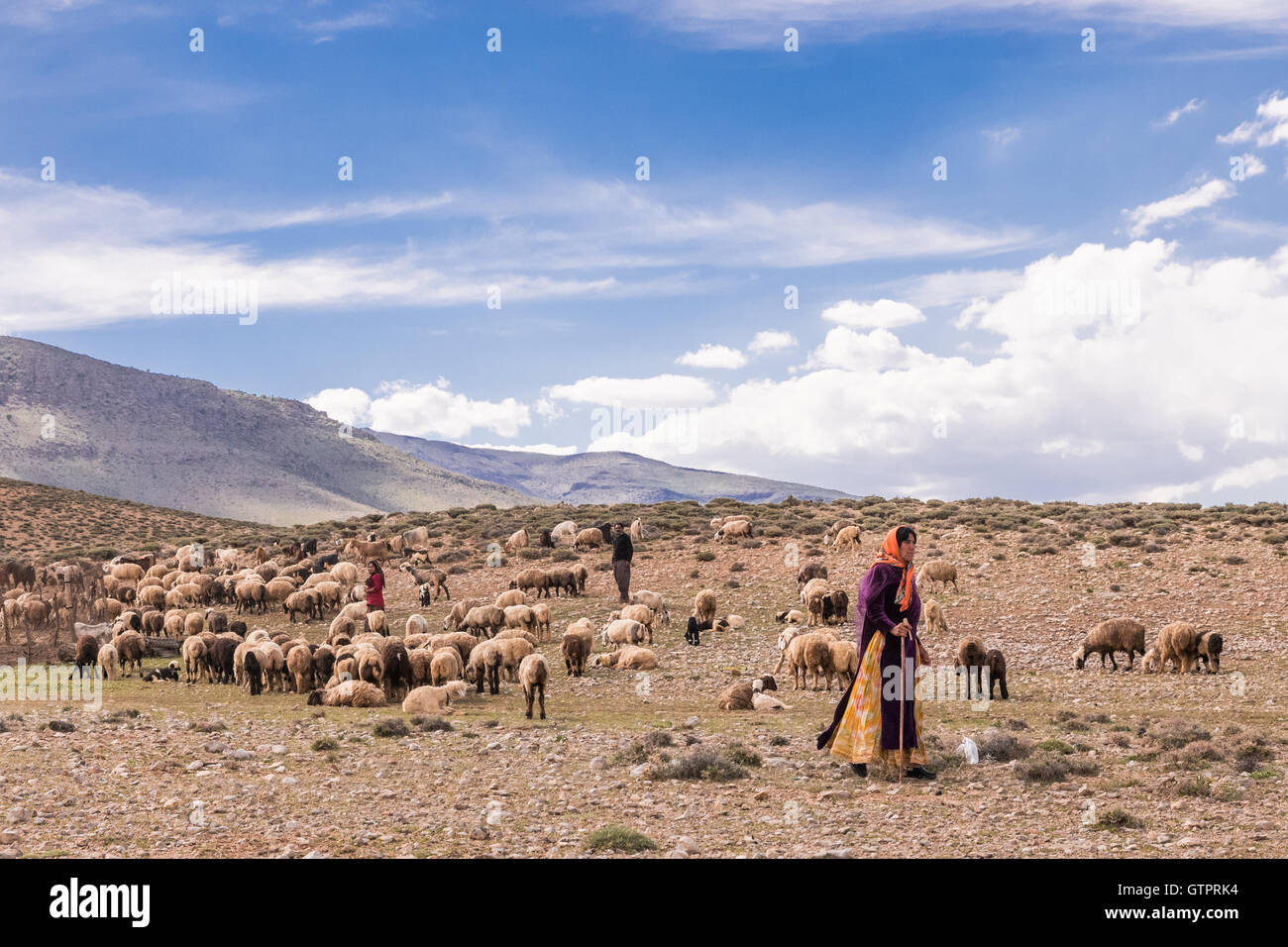 Khoram Gol, nomadic Basseri woman greets a visitor bringing gifts. The ...