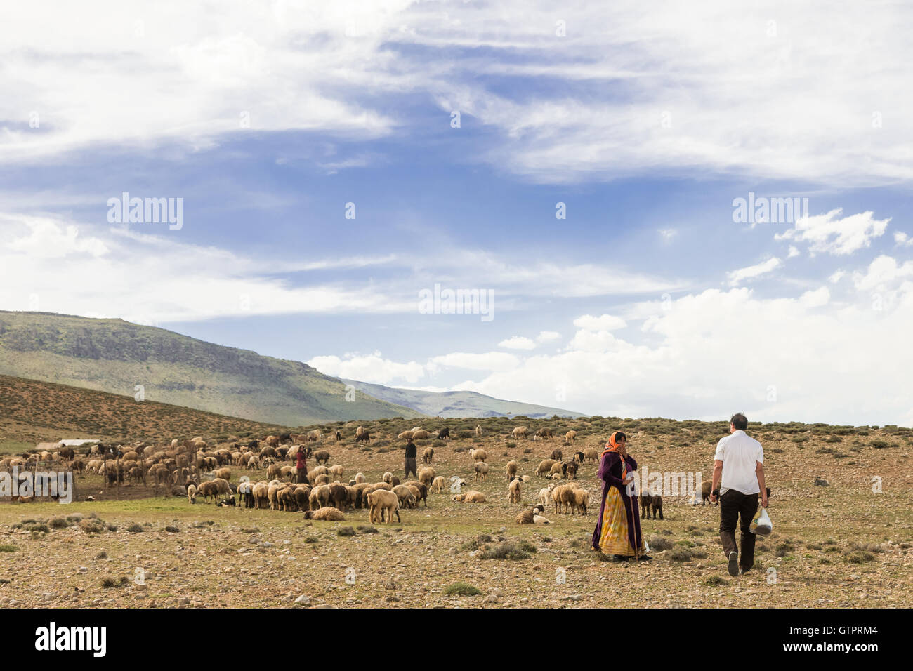 Khoram Gol, nomadic Basseri woman greets a visitor bringing gifts. The ...