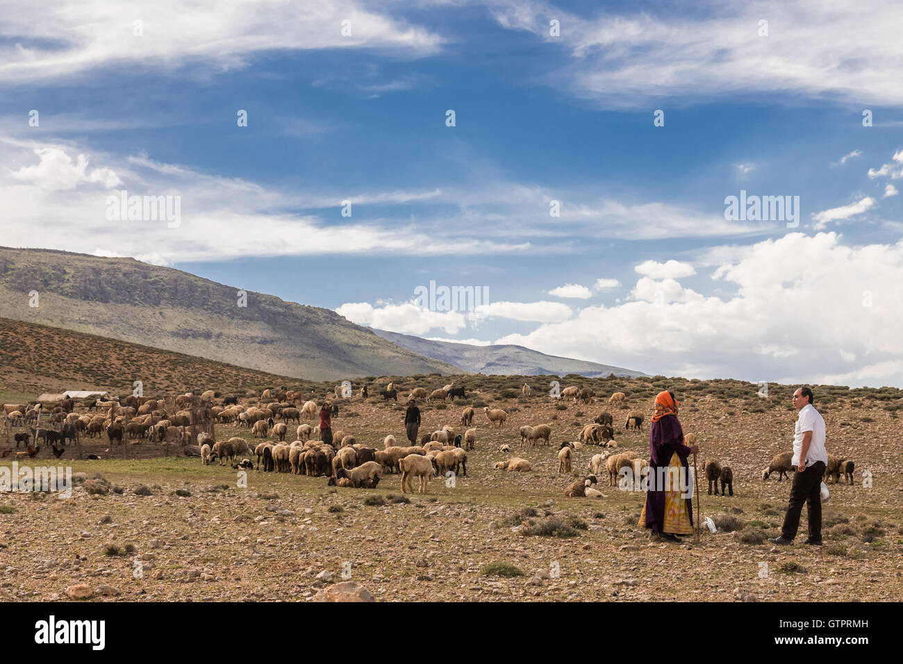 Khoram Gol, nomadic Basseri woman greets a visitor bringing gifts. The ...