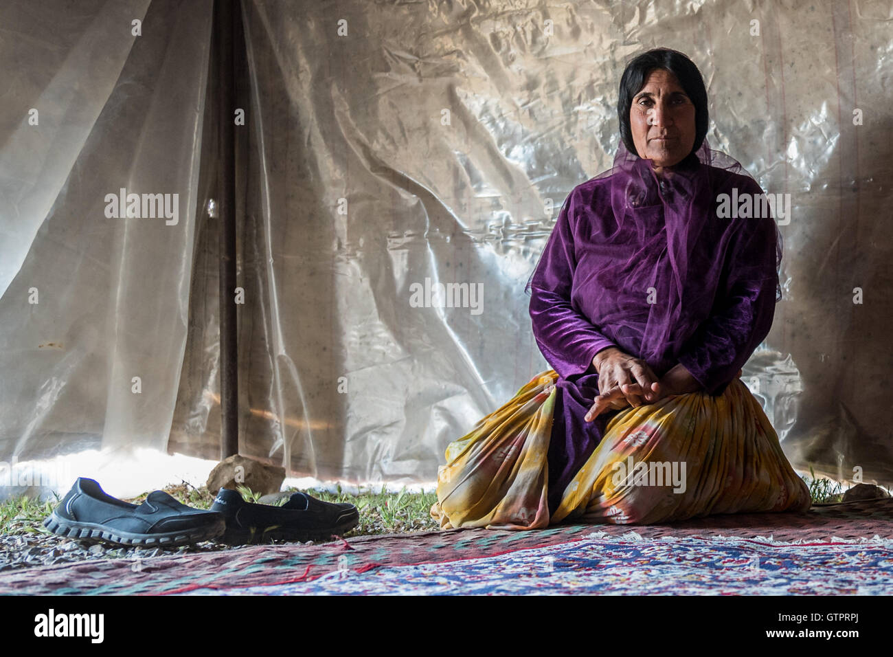 Khoram Gol, nomadic Basseri woman in her family's tent. The Basseri are ...