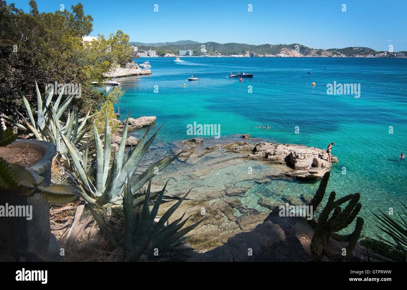 Cala Fornells Majorca landscape with turquoise green water beach ...