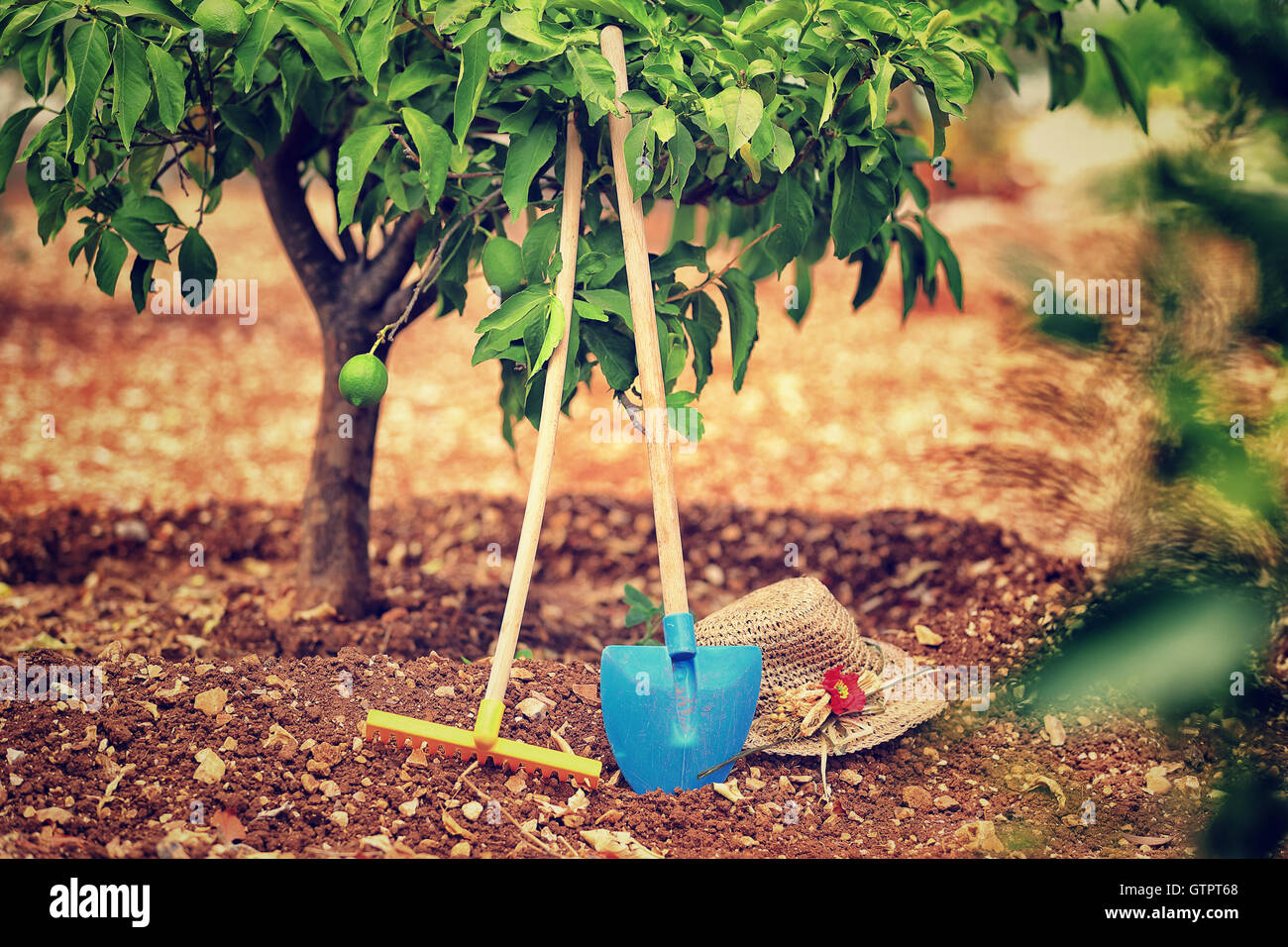 Necessary rake hi-res stock photography and images - Alamy
