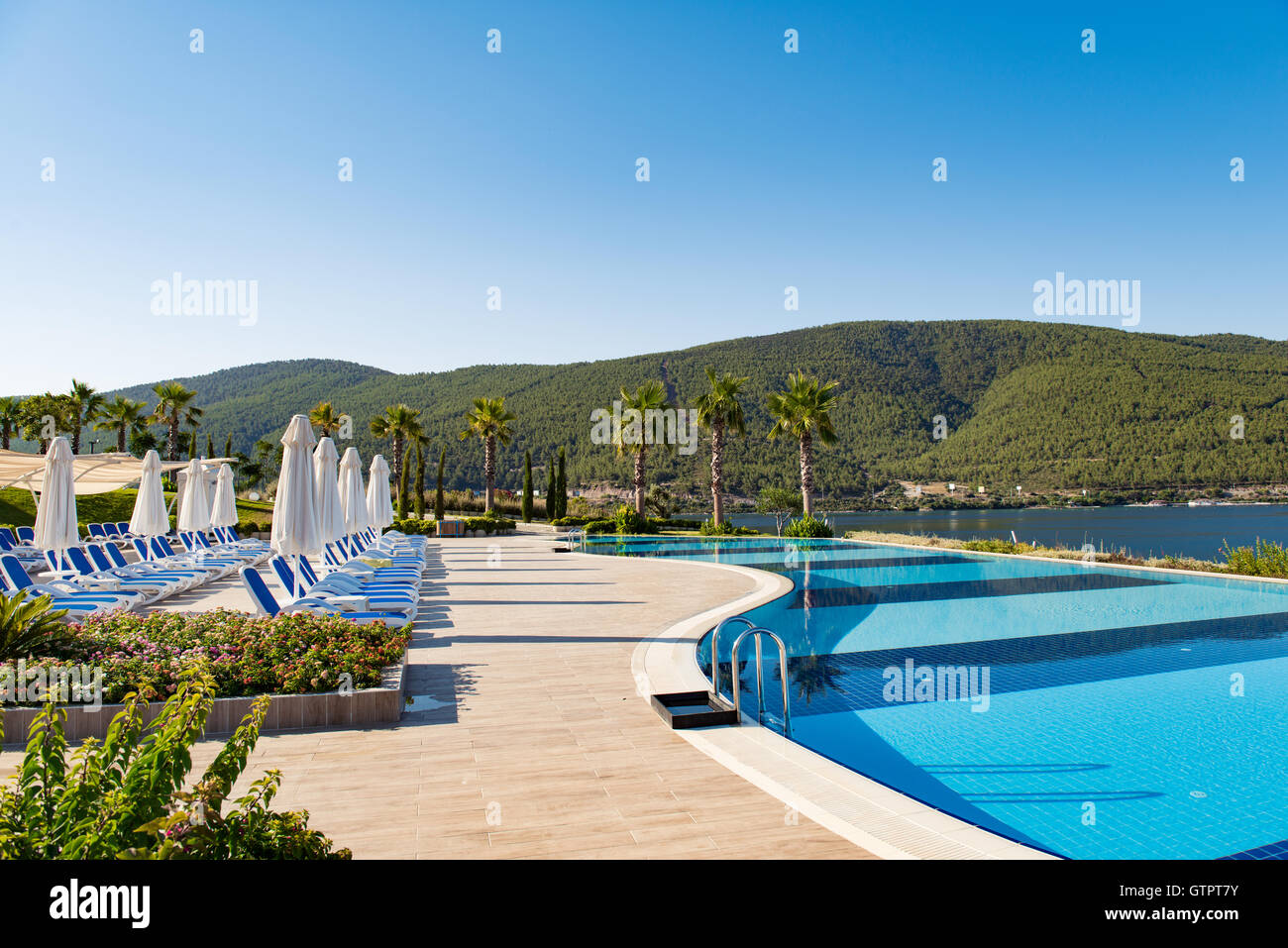 Swimming pool on bright summer day Stock Photo - Alamy