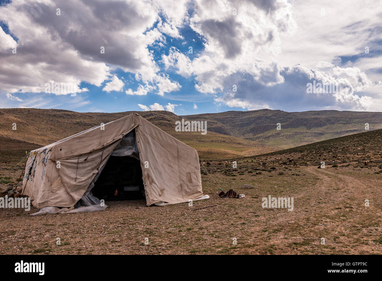 The Basseri are a nomadic, pastoral and Persian full blooded tribe of ...