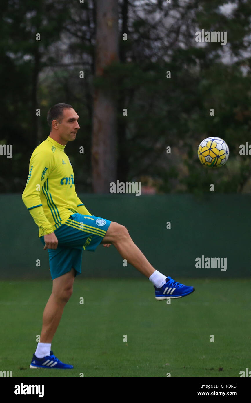 Sao Paulo, Brazil. 09th Sep, 2016. TREINO DO PALMEIRAS - Pictured ...