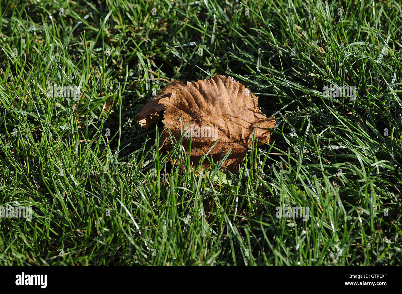 Warmest summer day in, Denmark. 10th Sep, 2016. people in various ...
