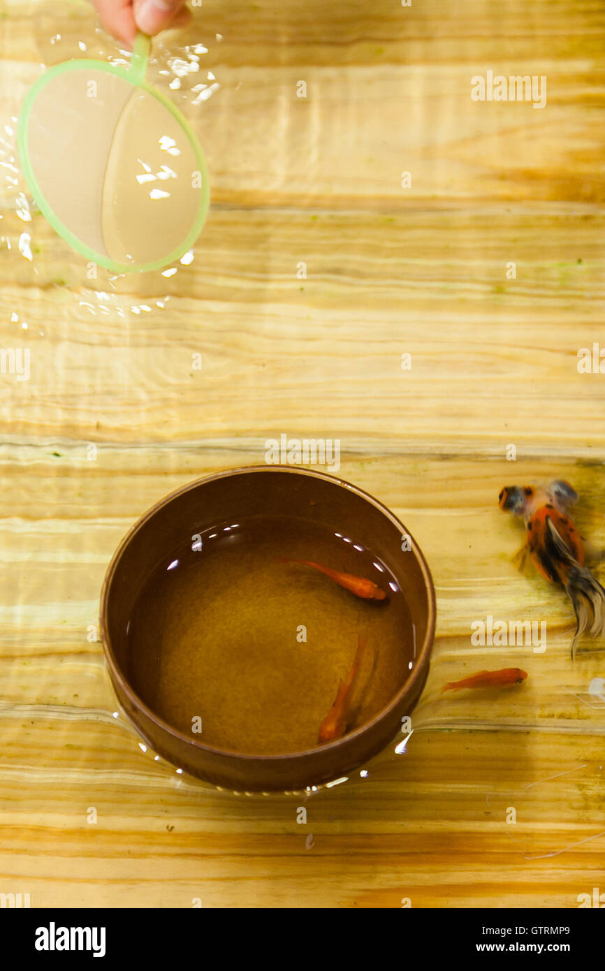 A customer tries to catch small kingyo (goldfish) at the Asakusa Kingyo ...