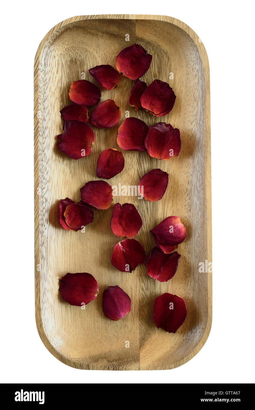Illustration red rose on Cut Out Stock Images & Pictures - Alamy
