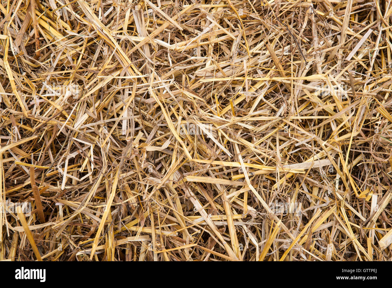 Baled grass hi-res stock photography and images - Alamy