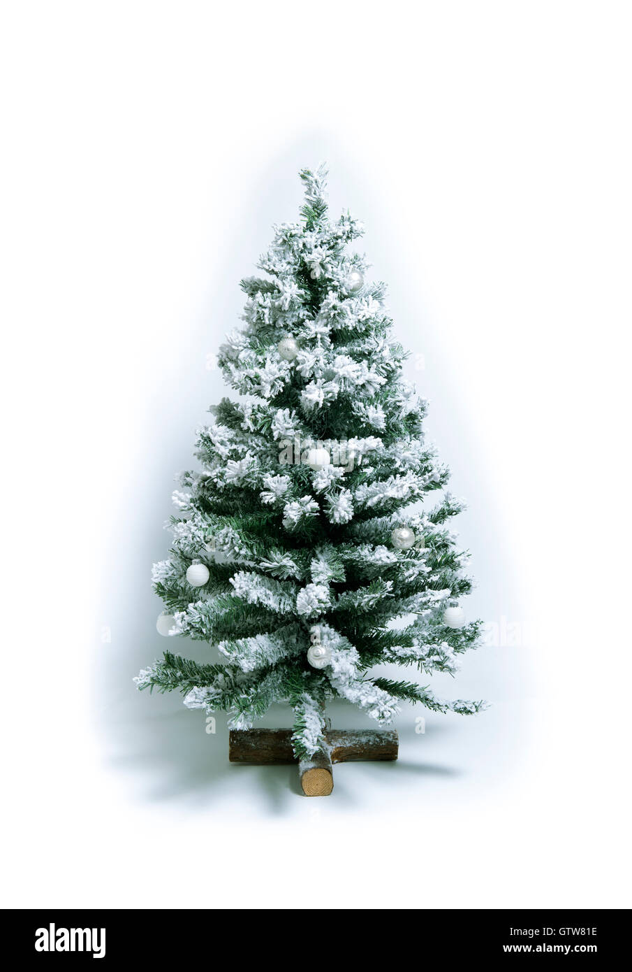 Forest fir trees snowy Cut Out Stock Images & Pictures - Alamy