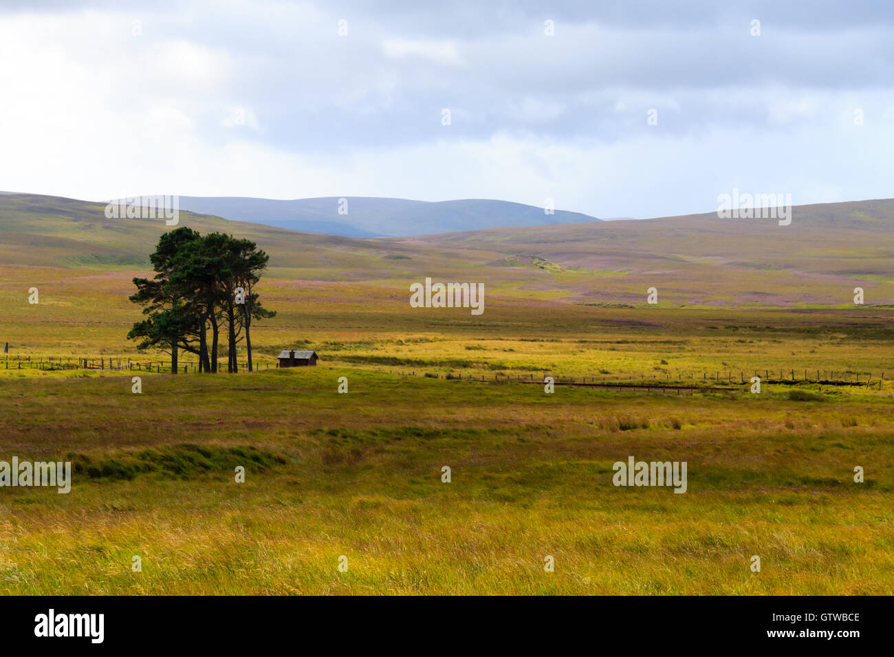 Scottish road trough countryside. Perspective road. Scotland panorama ...