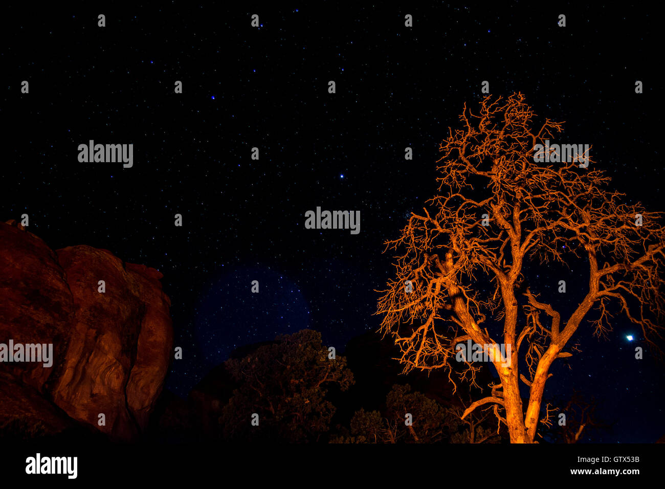 Moab Utah Arches National Parc Stars in the night Stock Photo - Alamy