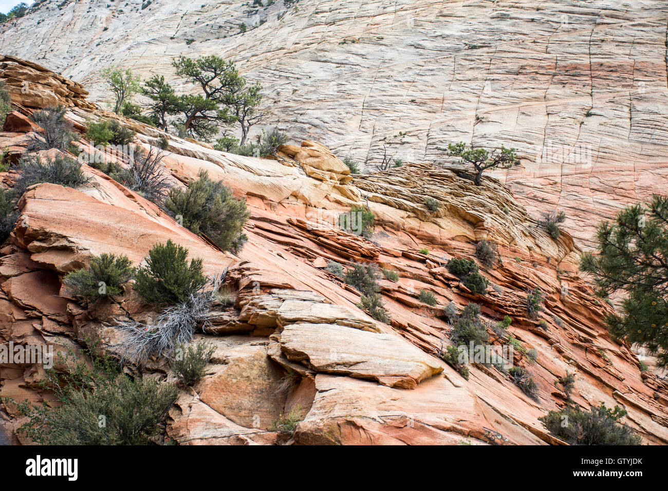 Sand stone rock formation in the west of USA 3 Stock Photo - Alamy