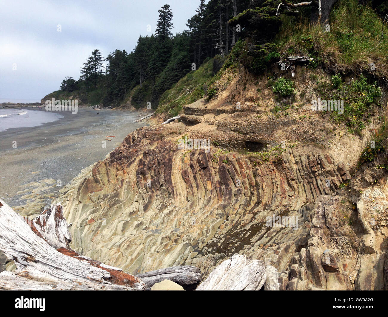 Beach 4, Pacific Ocean, Olympic National Park, Washington State, USA ...