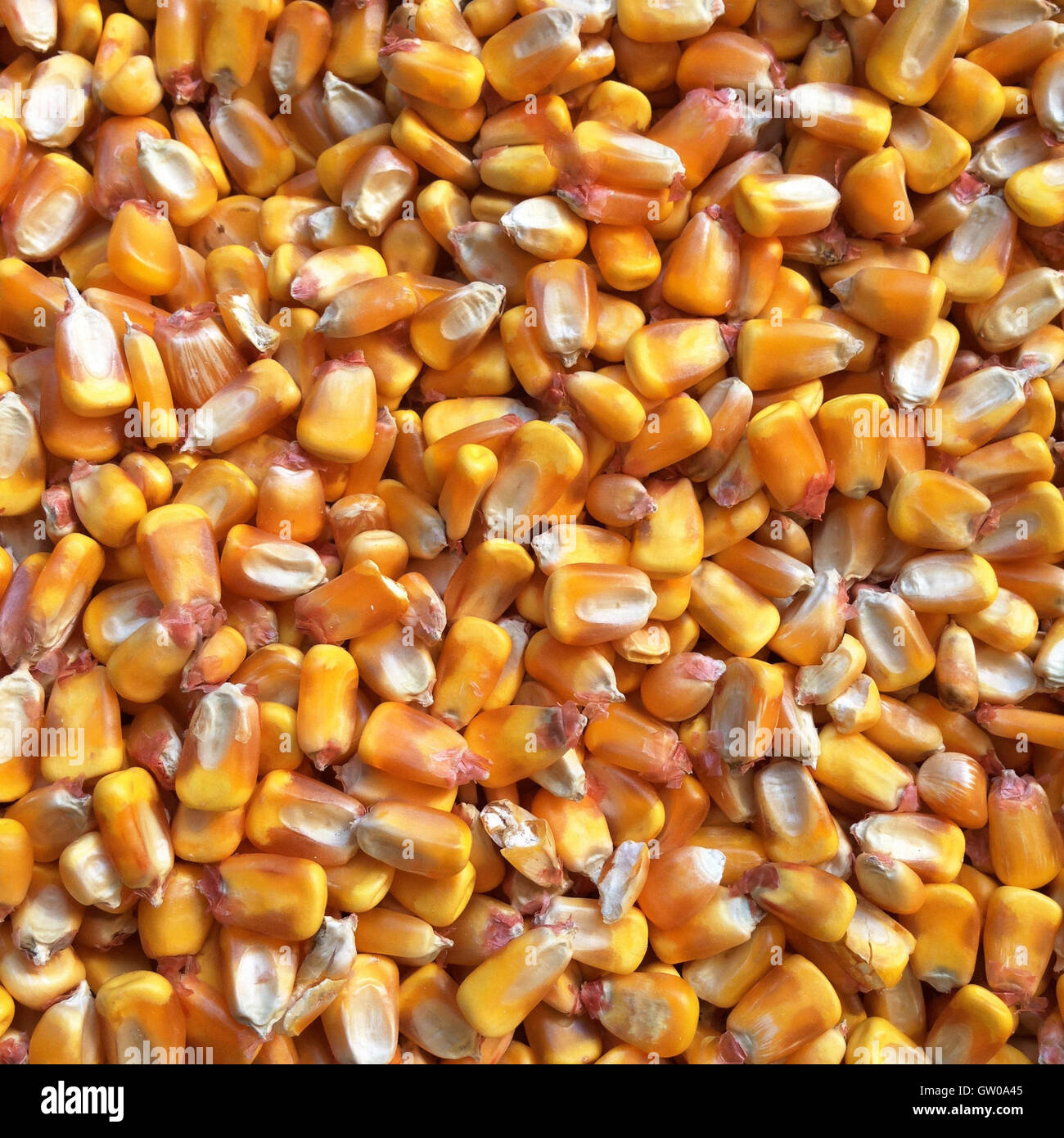 Kernals hi-res stock photography and images - Alamy