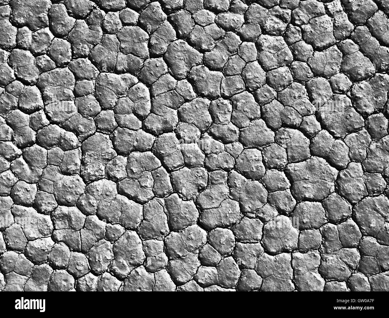 mud cracks, Death Valley, California Stock Photo - Alamy