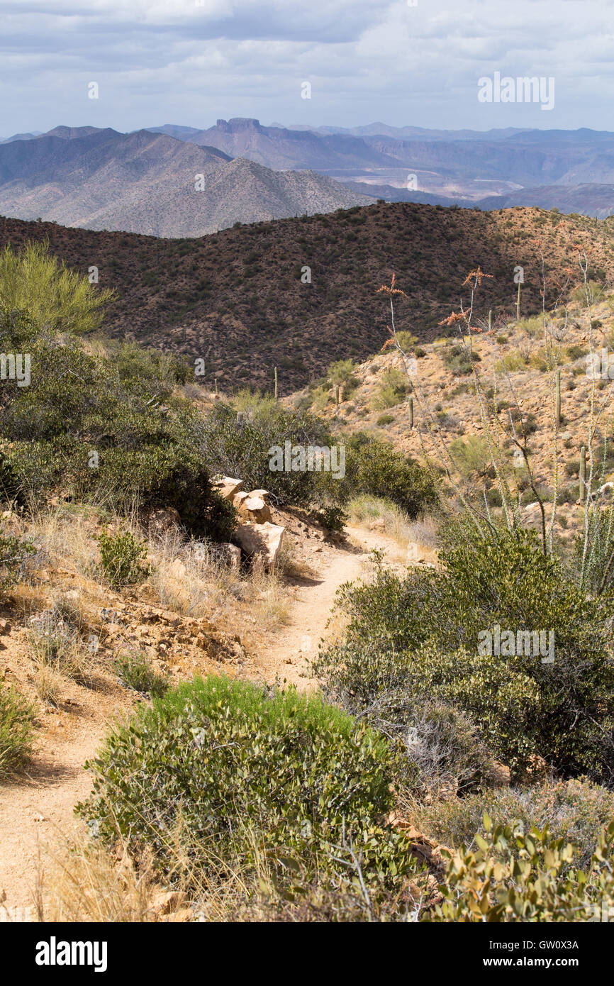 The Arizona Trail descending from The Big Hill through Sonoran Desert ...