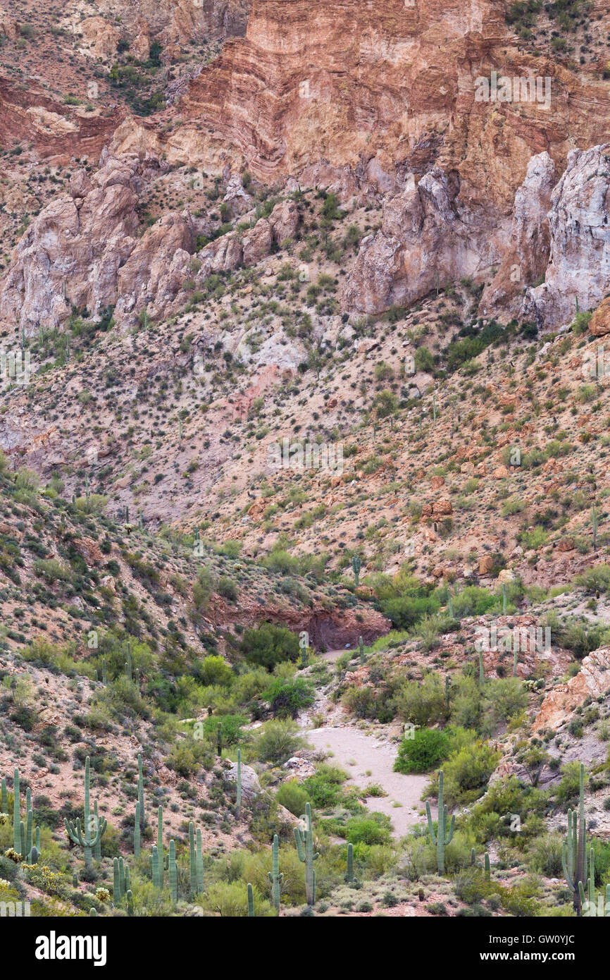 A dry wash winding below large rocky canyon walls lined with saguaro ...