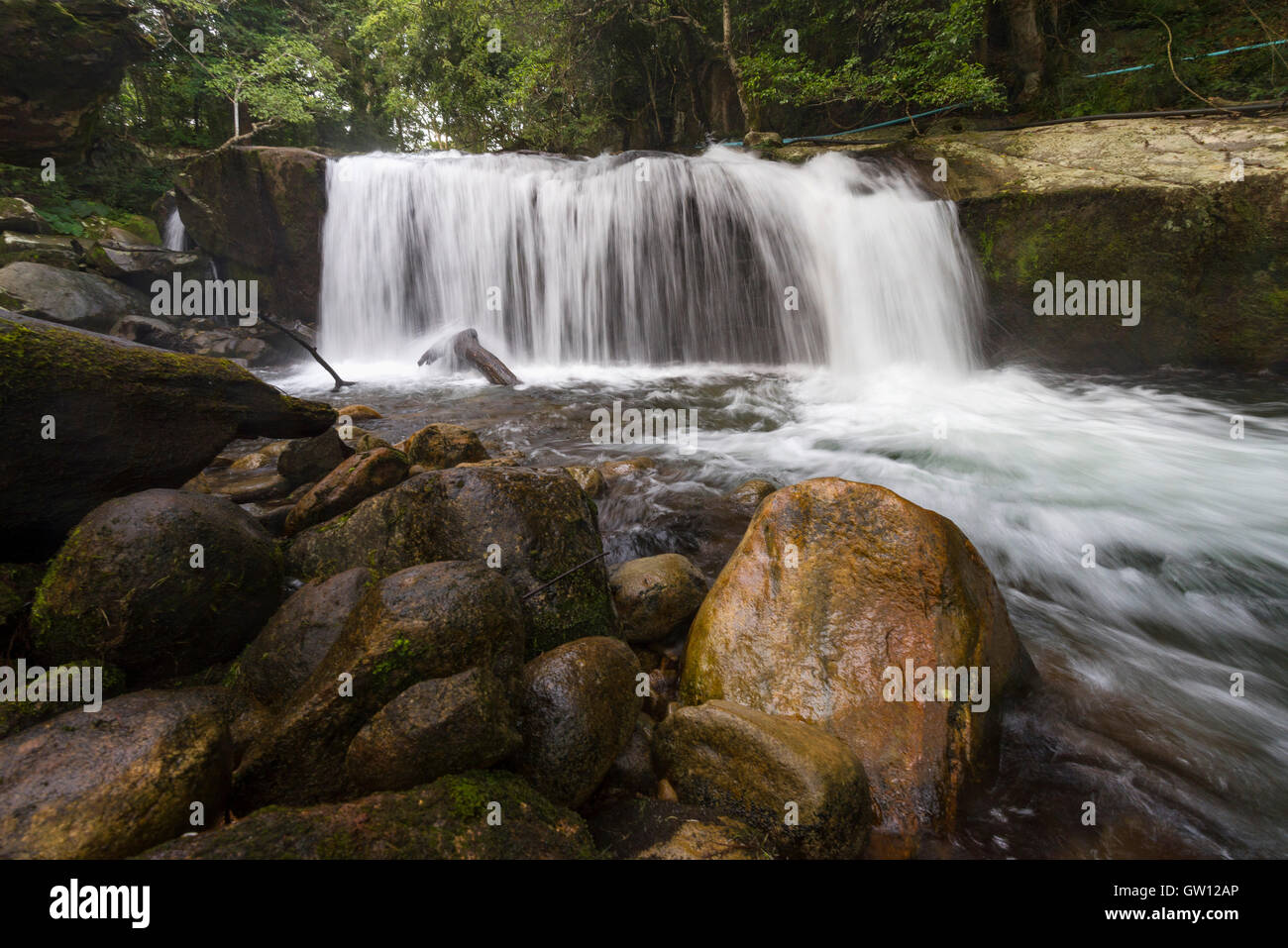 The shrublands estate hi-res stock photography and images - Alamy